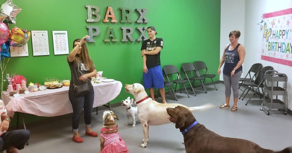 Dog Party Rentals - Barx Parx