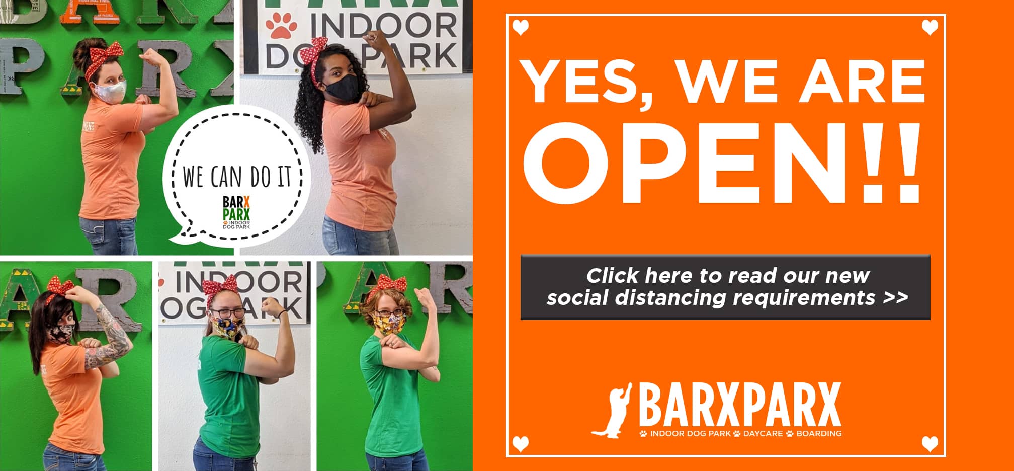 Barx Parx | A social place for dogs & their people.