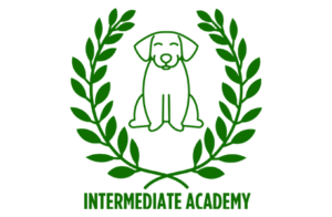 Intermediate Academy - Barx Parx