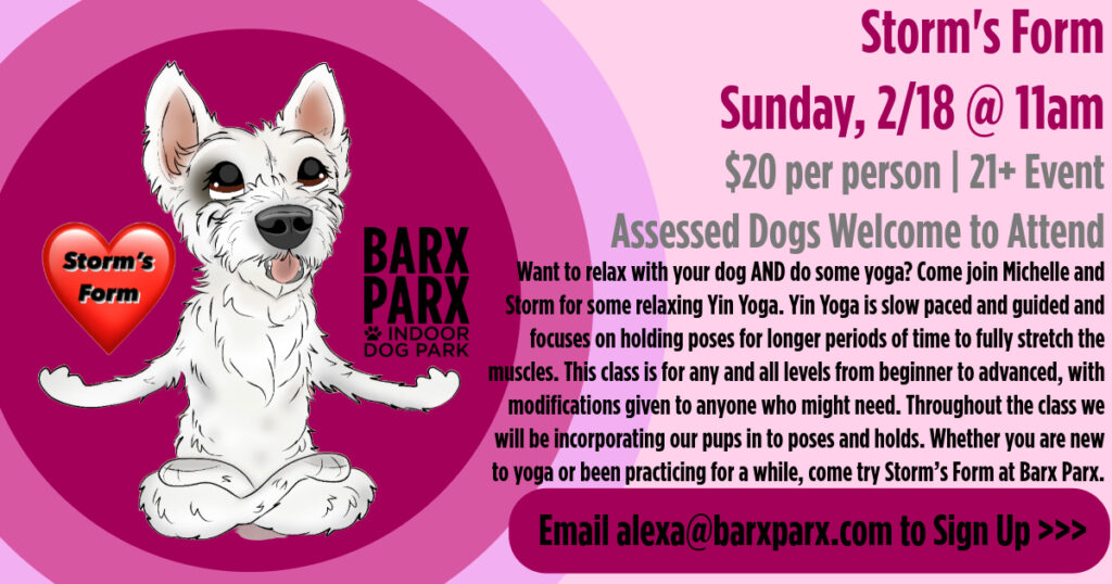 Storm's Form - Barx Parx